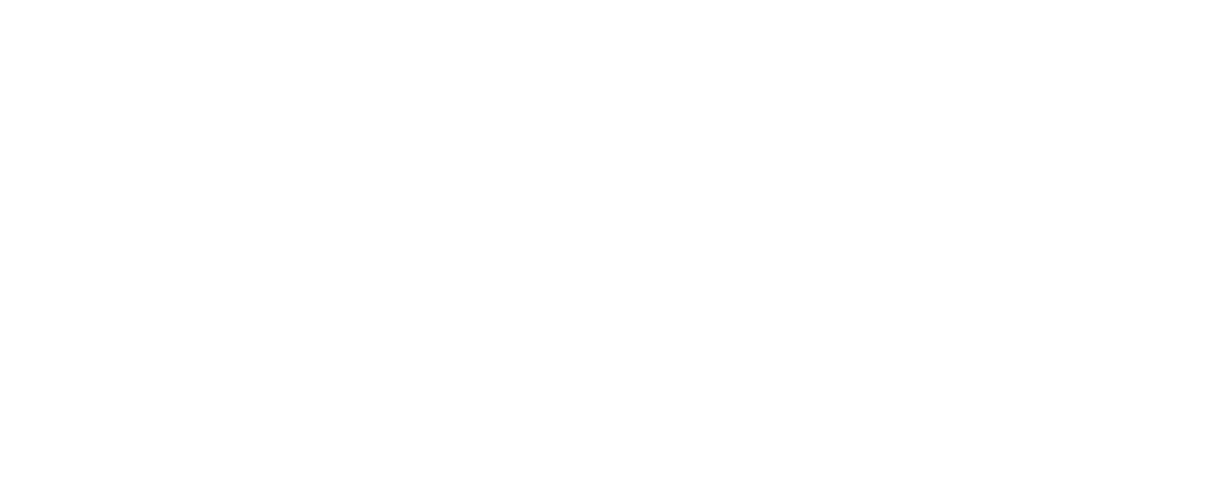 ANSR logo